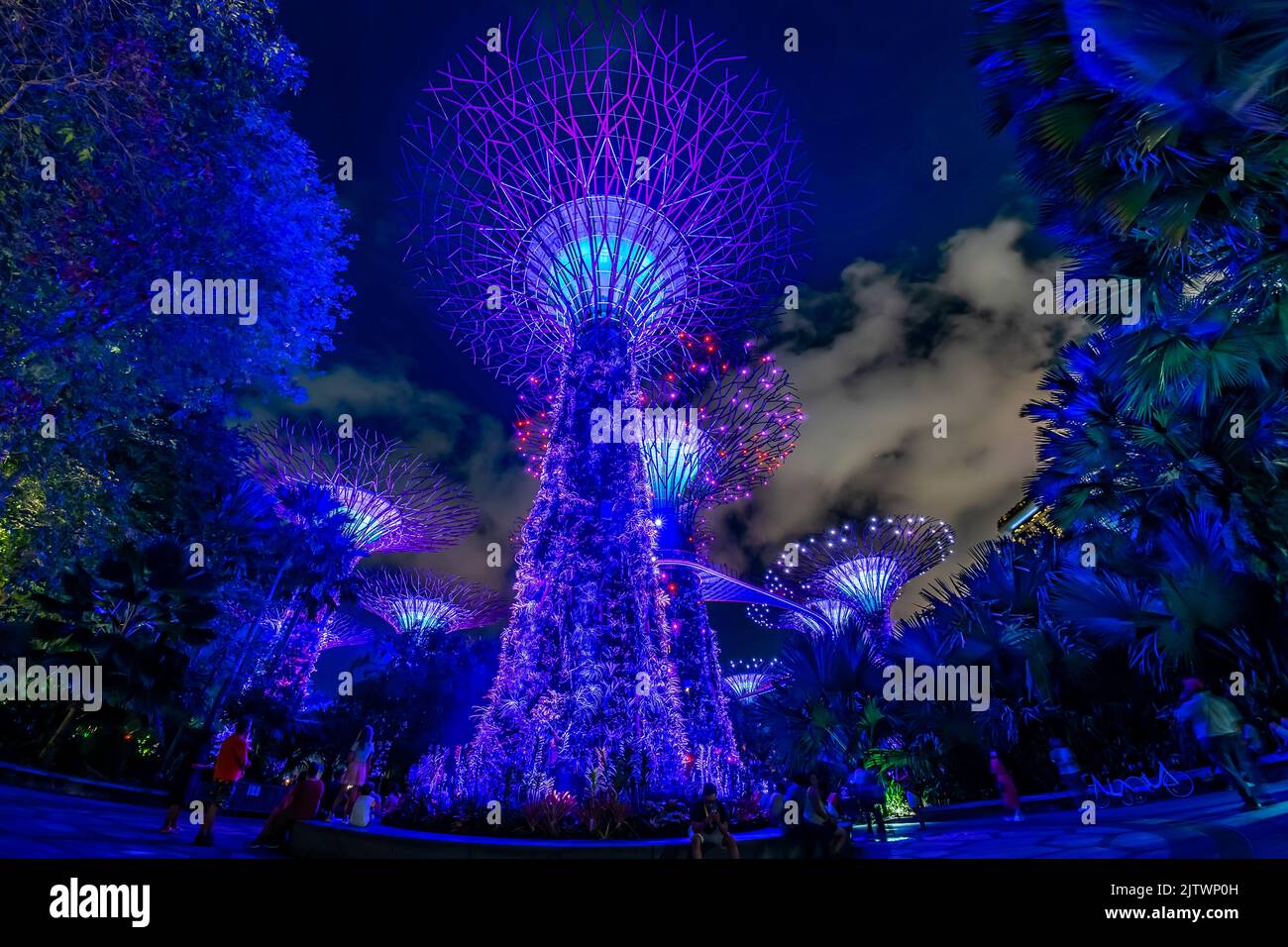 Garden Rhapsody, spectacular light and sound show, at Gardens By The ...
