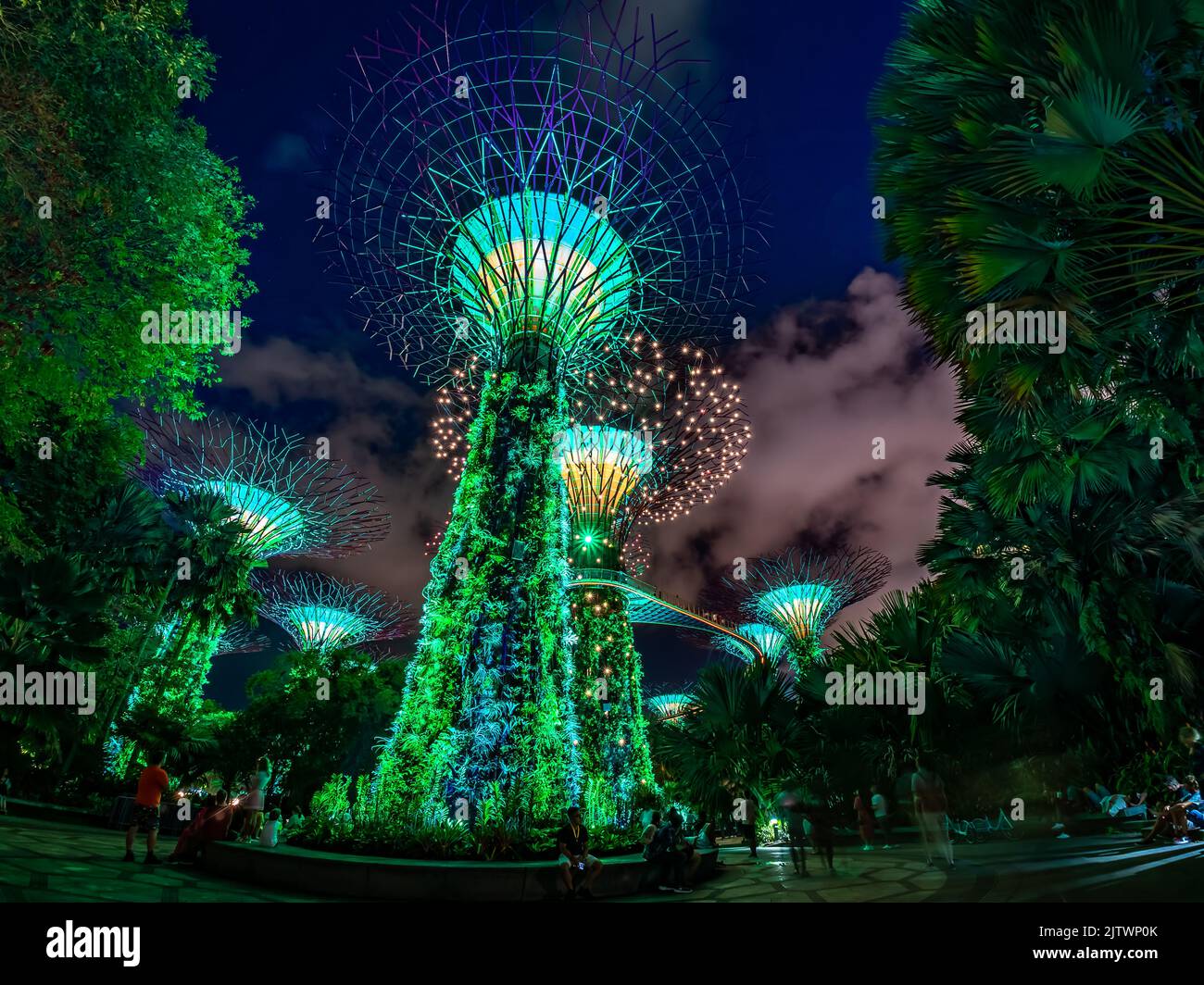 Garden Rhapsody, spectacular light and sound show, at Gardens By The ...