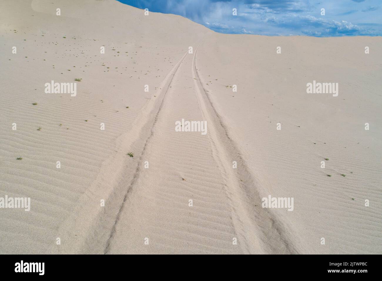 tire tracks left in the sand Stock Photo - Alamy