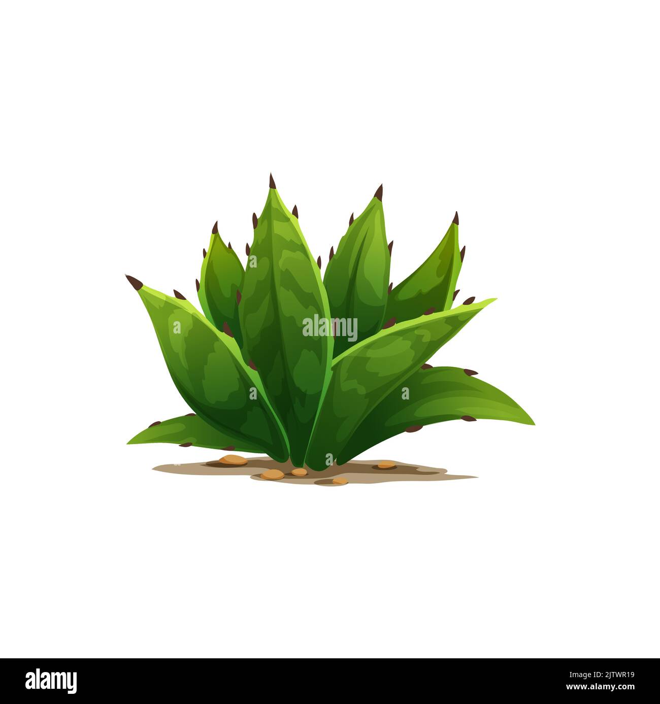 Maguey agave Stock Vector Images - Alamy