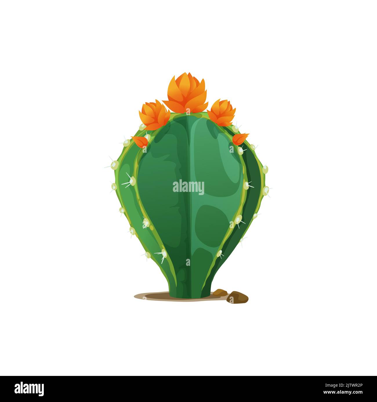 Tall flower spike spikes Stock Vector Images - Alamy