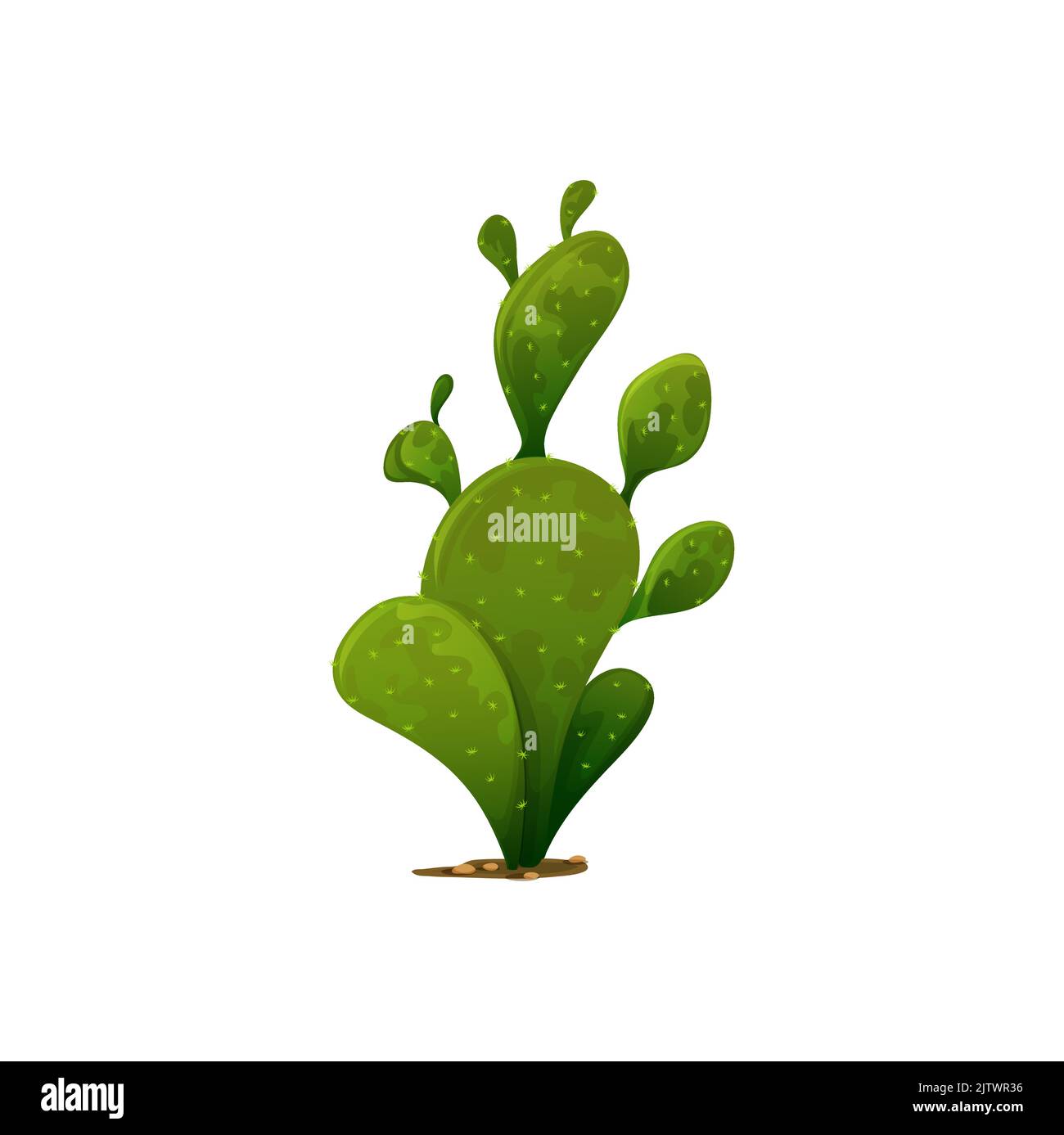 Arizona saguaro flower isolated cartoon maguey American aloe succulent ...