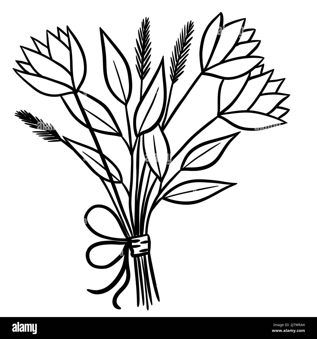 Minimalist flowers leaves blossom Black and White Stock Photos & Images ...