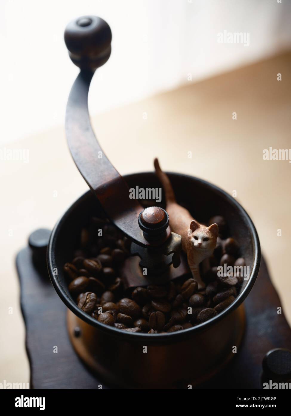 Cat Figure and Coffee Beans Stock Photo - Alamy