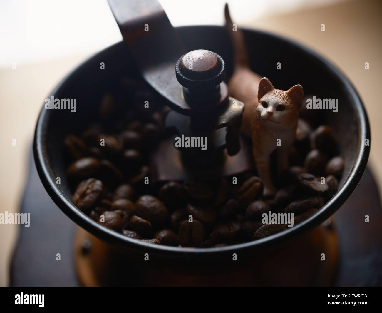 Cat Figure and Coffee Beans Stock Photo - Alamy