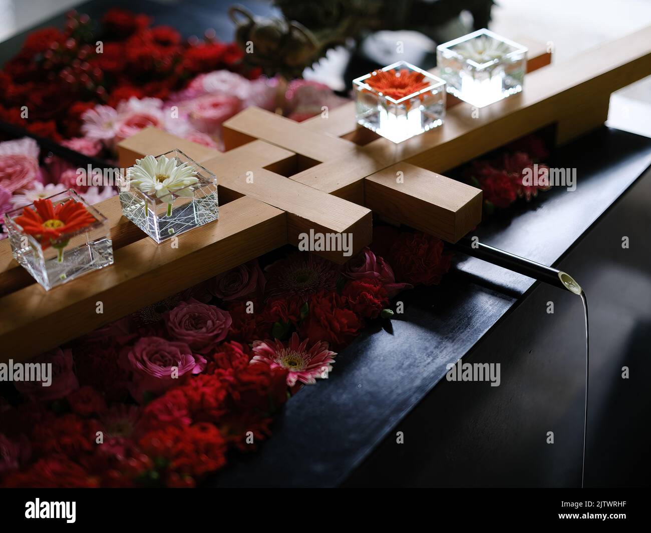 Ablution flower hi-res stock photography and images - Alamy