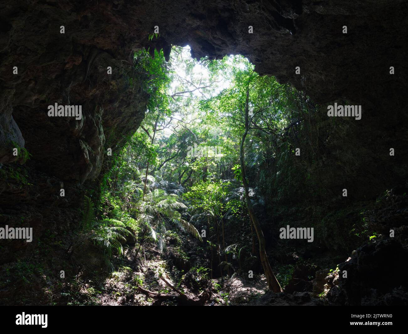 Limestone Cave in Iriomote Island, Okinawa Prefecture, Japan Stock ...