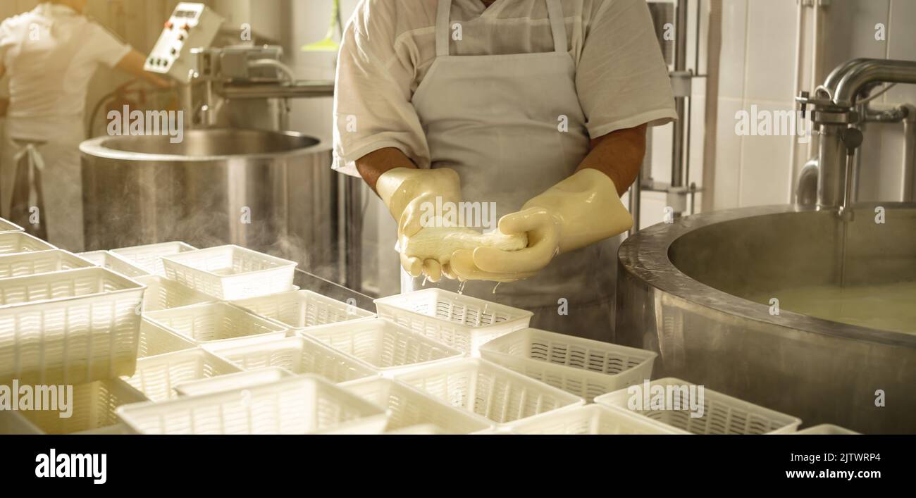 A man is a cheese maker in the process of producing different varieties ...