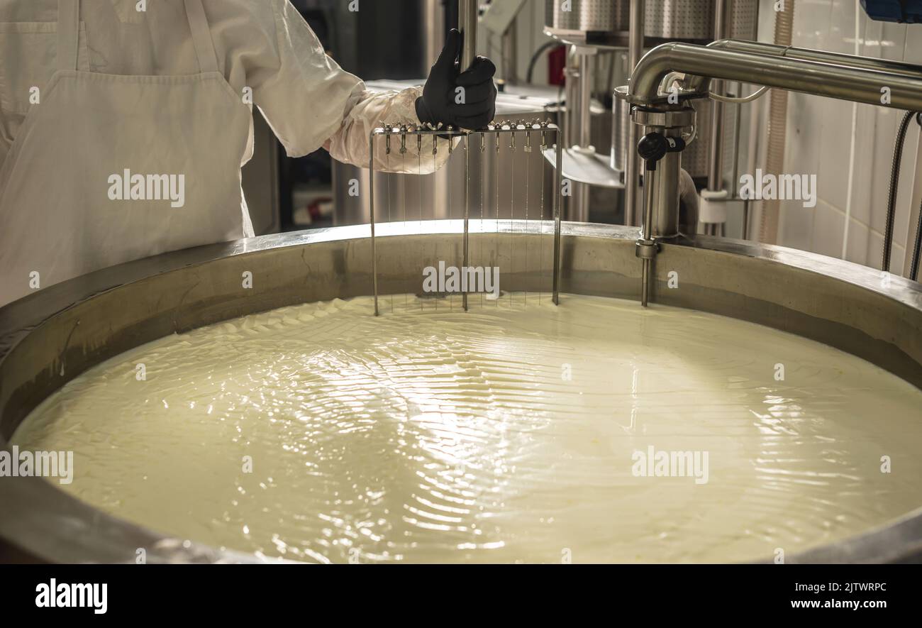 The process of producing different varieties of cheese in industry ...