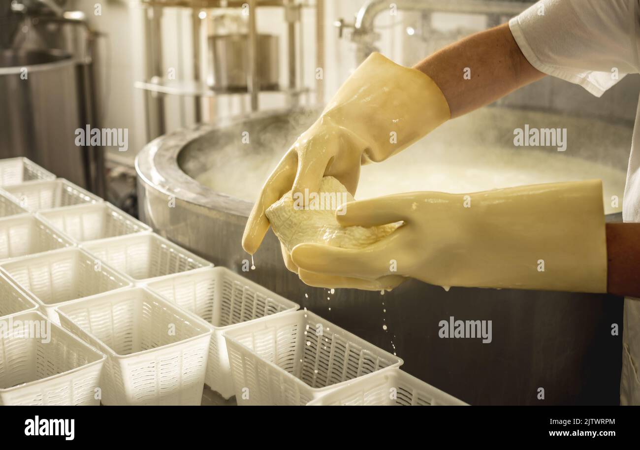 A man is a cheese maker in the process of producing different varieties ...