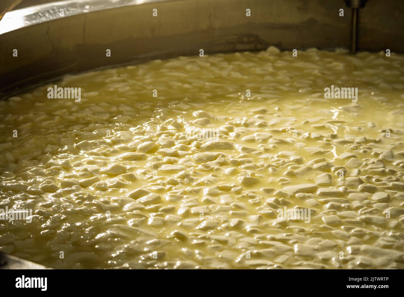 The process of producing different varieties of cheese in industry ...