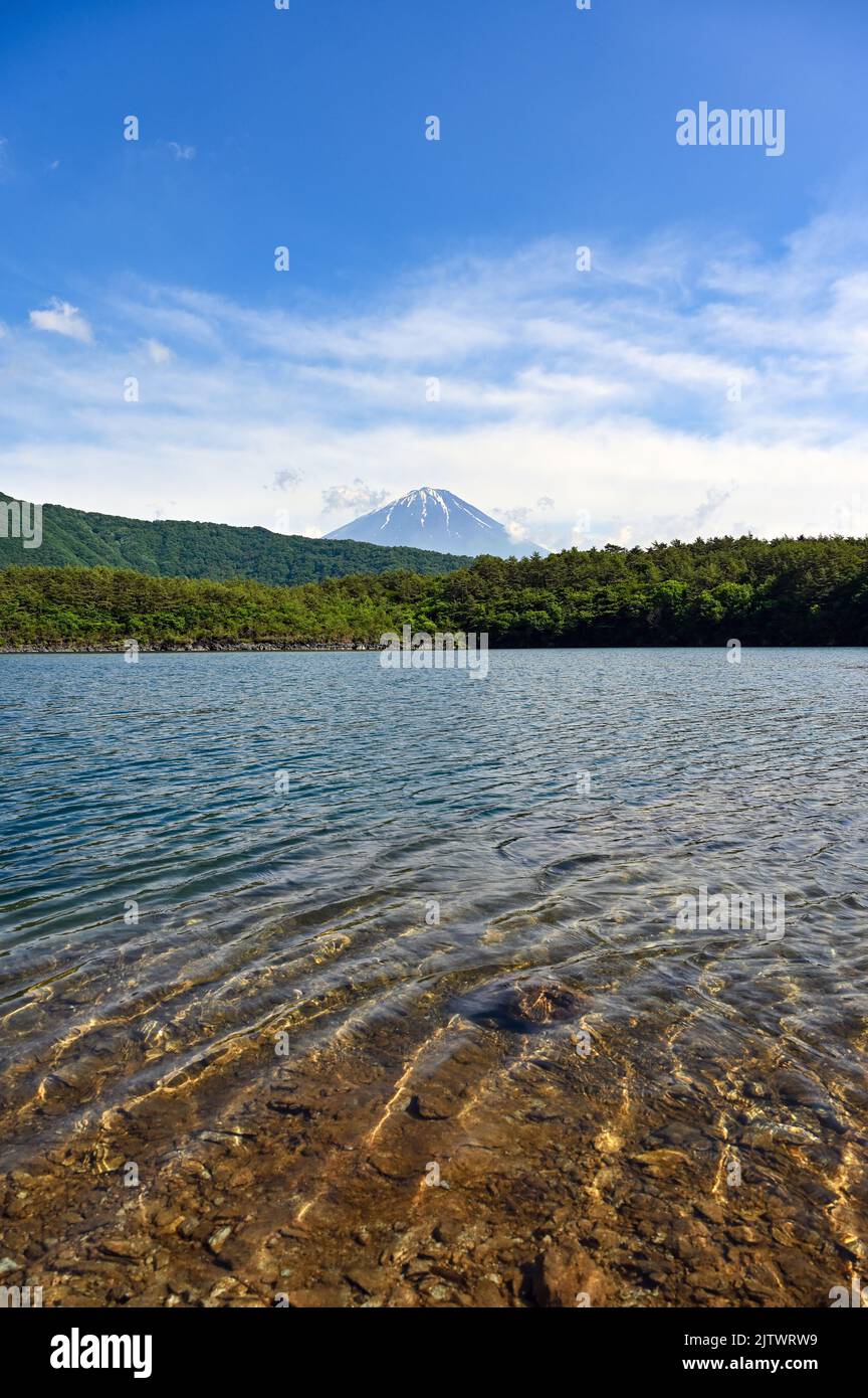 Saiko Lake and Mt. Fuji Stock Photo - Alamy