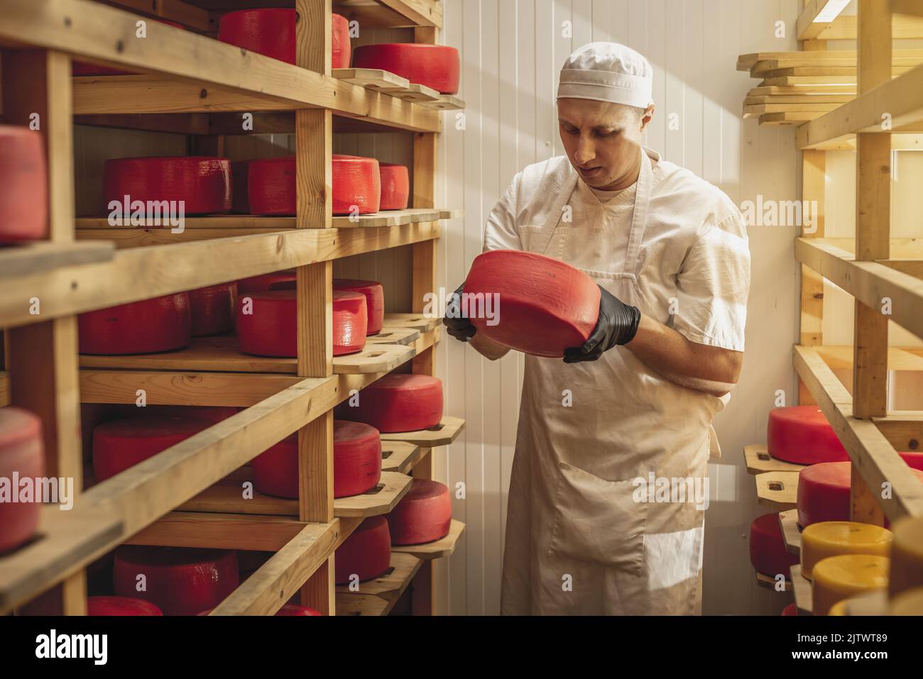 Cheeses factory manufacturing ripening hi-res stock photography and ...