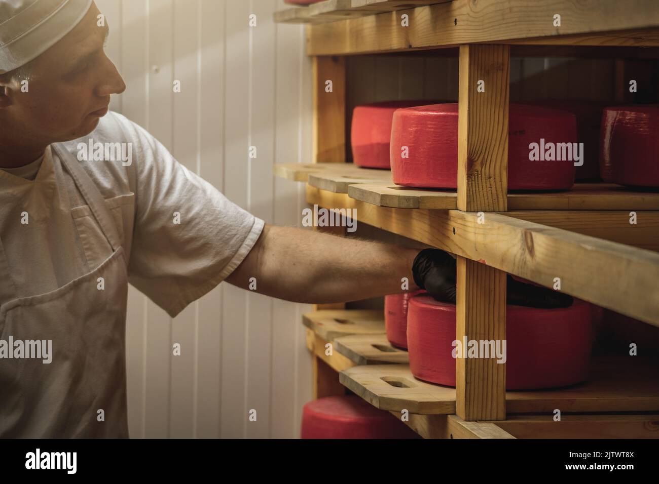 A farmer turns over cheese heads on wooden shelves in the cheese ...