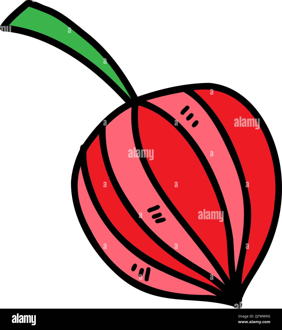 hand drawn chinese fruit illustration on transparent background for ...