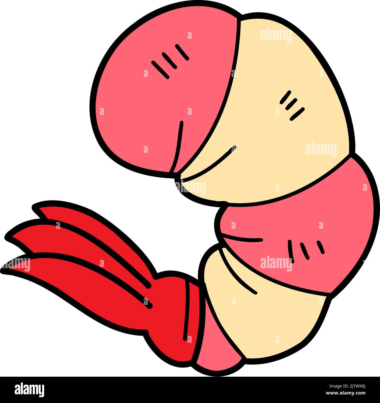 hand drawn boiled shrimp illustration on transparent background for ...