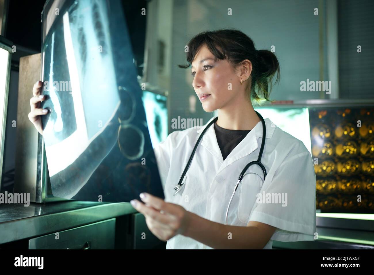 Team of doctors discuss results of X-Ray or MRI scan of patient's brain ...