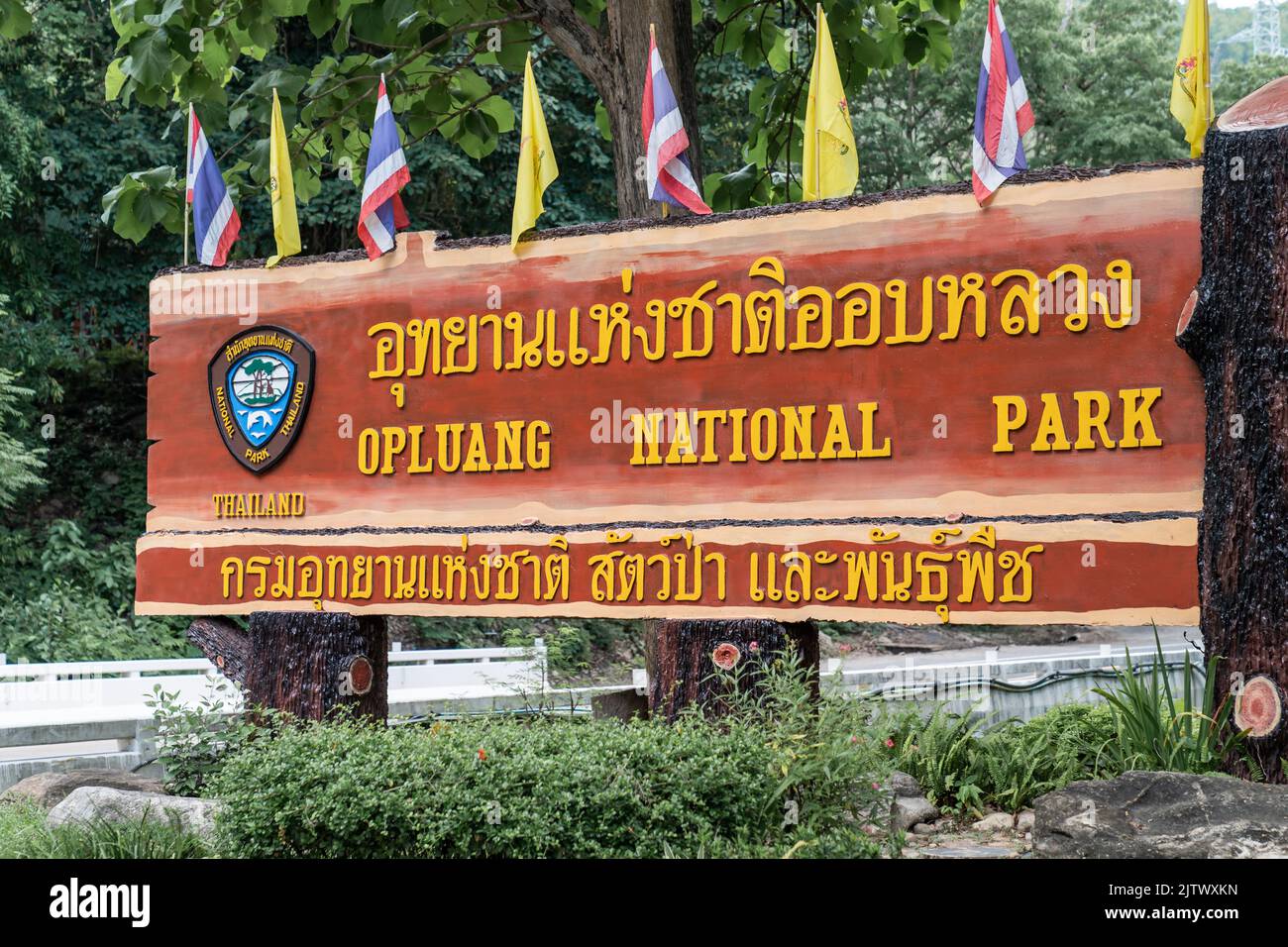 Chiang Mai, Thailand – 25 May 2021, Op Luang National Park is a fun, adventurous destination for ...