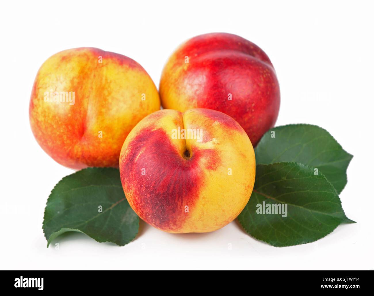 fresh nectarines with leaves isolated on white background Stock Photo ...