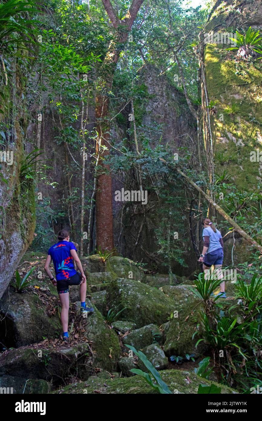 Hiking into the Rock Garden, Paluma Range National Park Stock Photo - Alamy