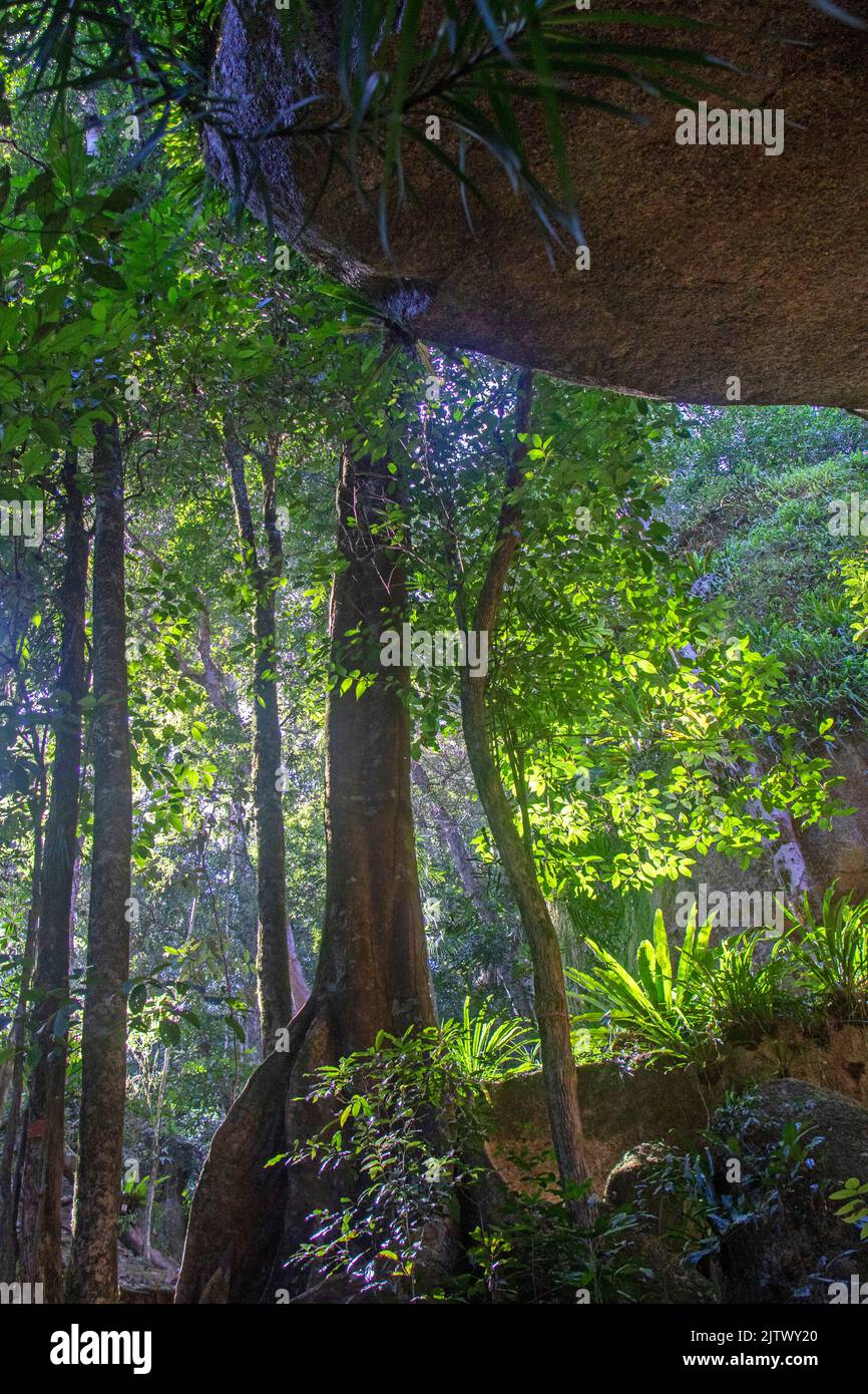 The Rock Garden, Paluma Range National Park Stock Photo - Alamy