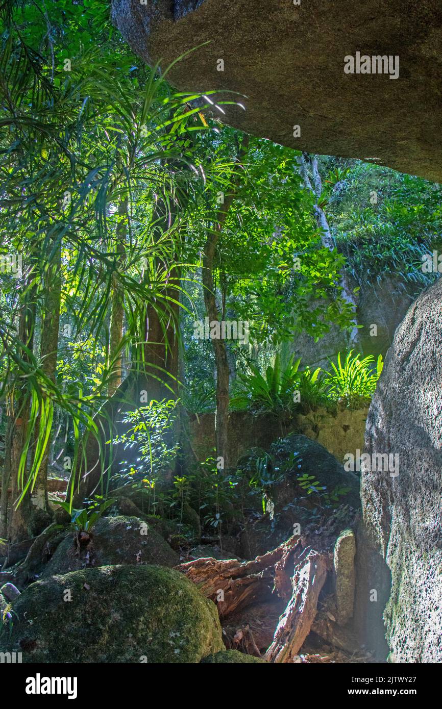 The Rock Garden, Paluma Range National Park Stock Photo - Alamy