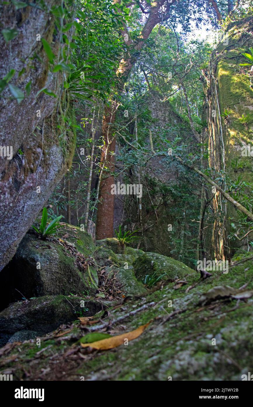 The Rock Garden, Paluma Range National Park Stock Photo - Alamy