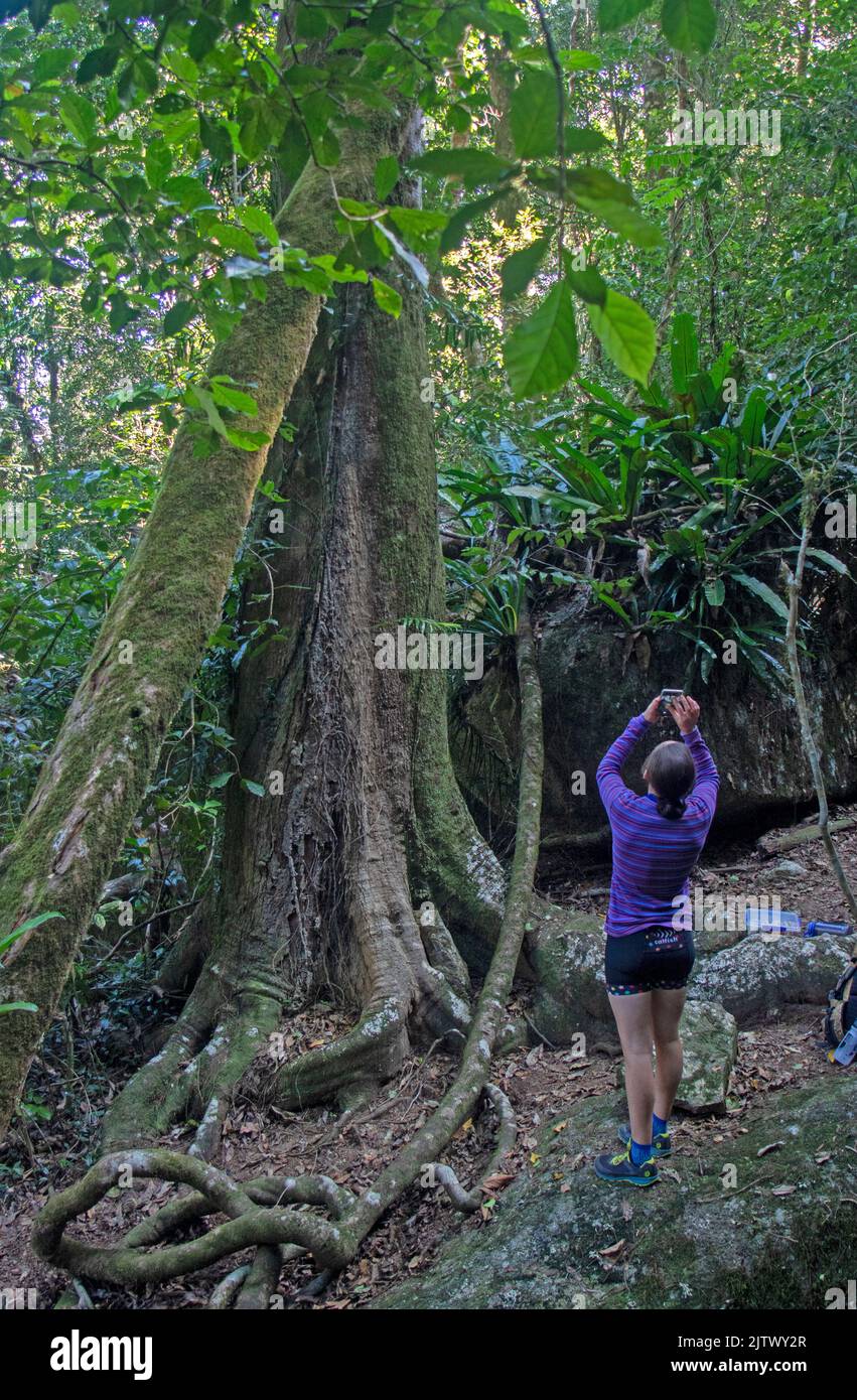 Paluma rock hi-res stock photography and images - Alamy