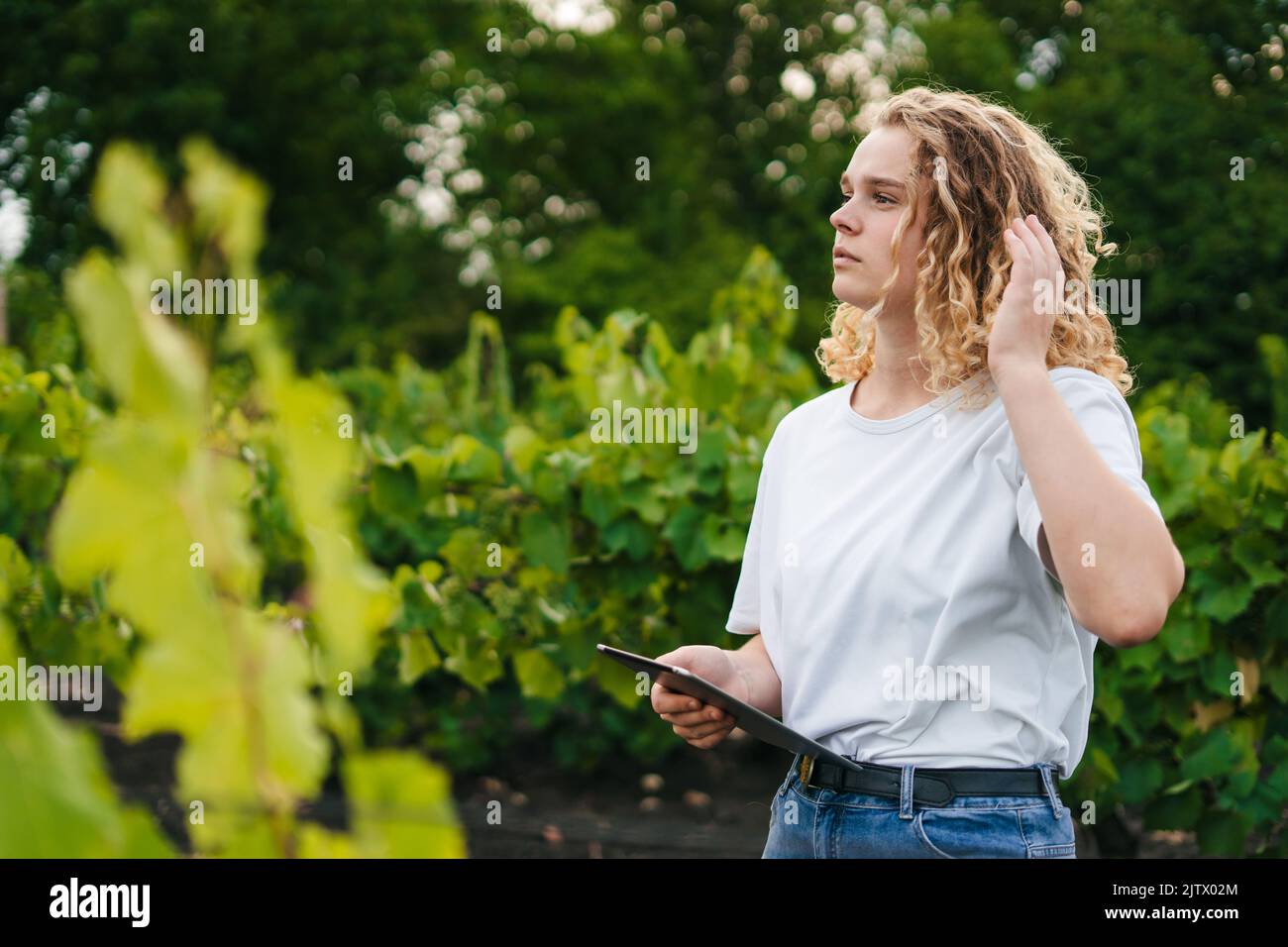 Farm landscape smart agriculture analyzing hi-res stock photography and ...