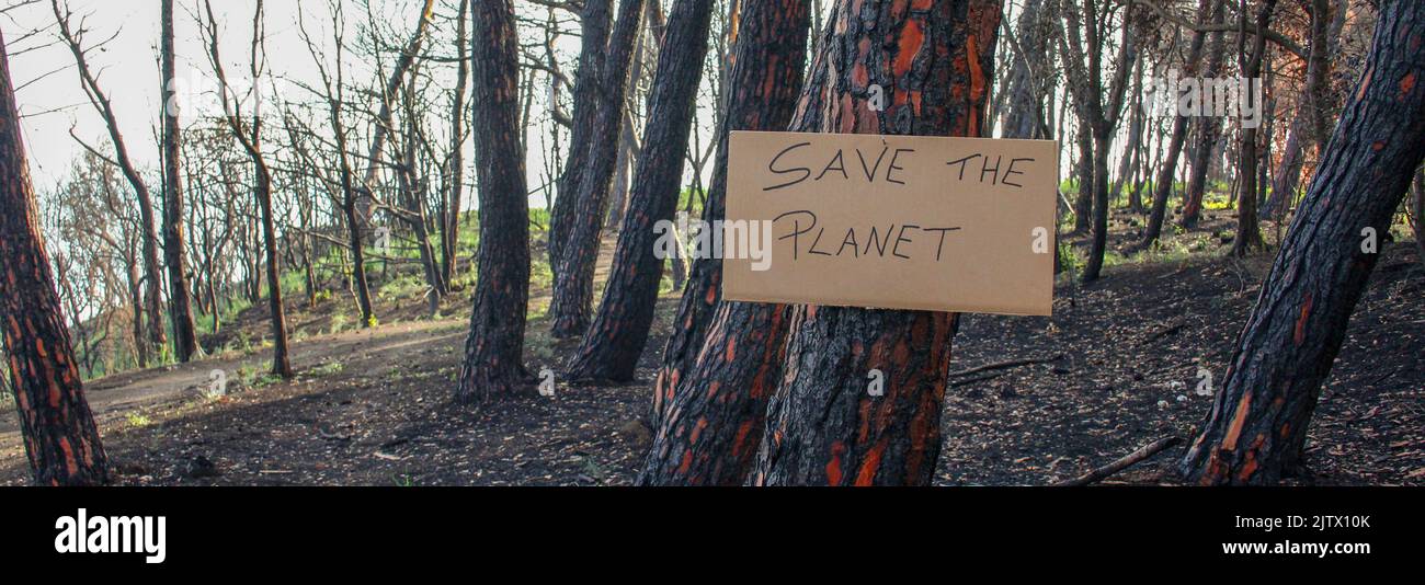 Image of a sign with the words "let's save the planet" stuck on a tree ...