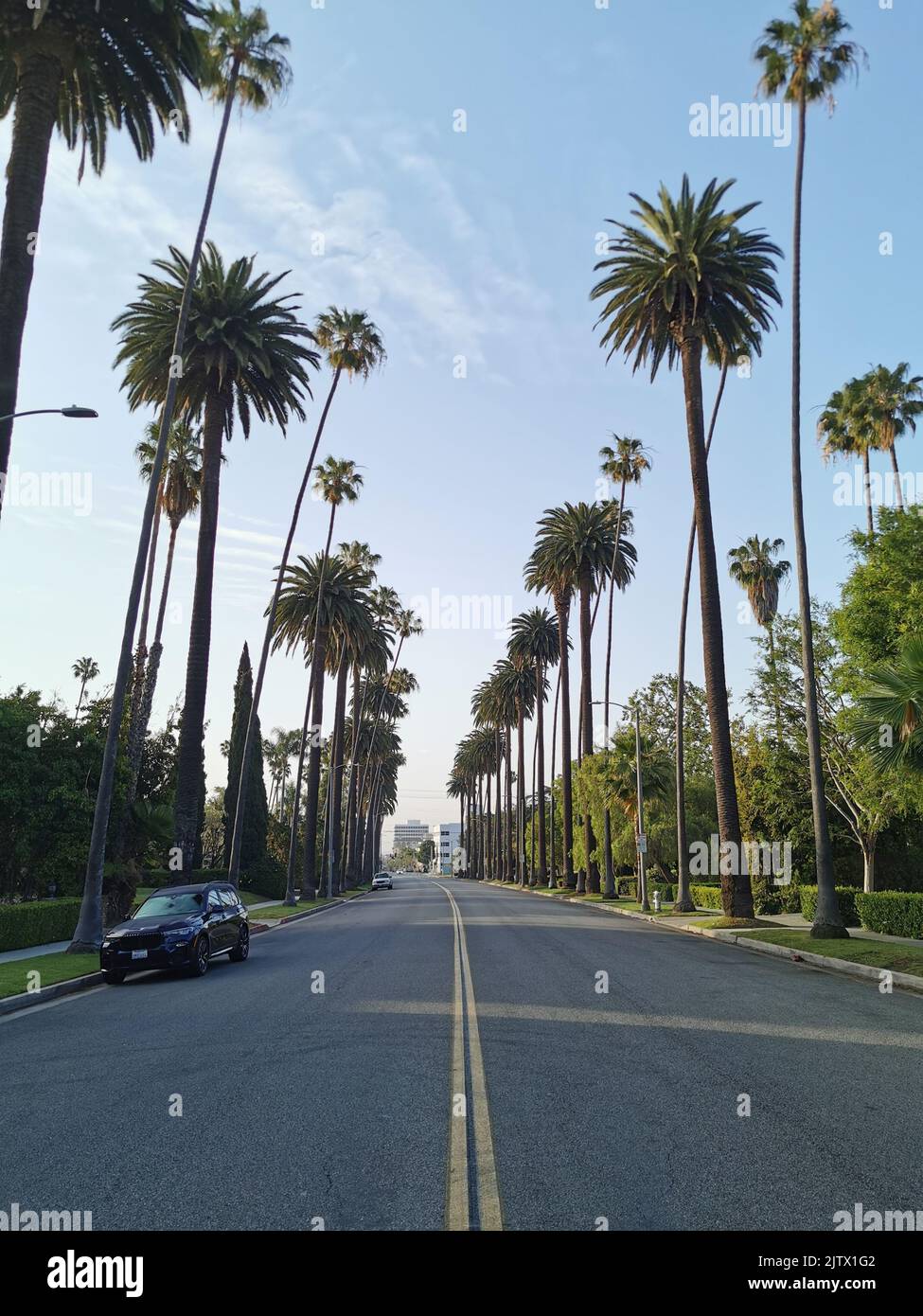 A straight road with tall palm trees on both sides in Los Angeles ...