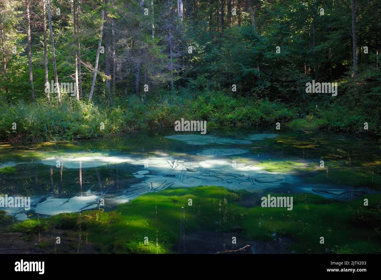 Saula cold pure fresh water blue spring, Estonia, Europe. Beautiful ...