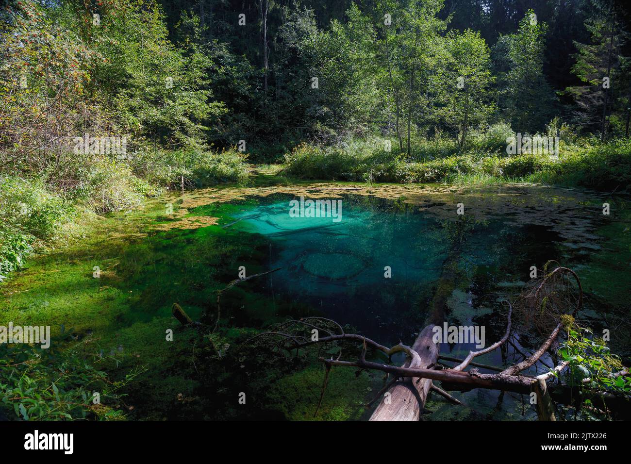 Saula cold pure fresh water blue spring, Estonia, Europe. Beautiful ...