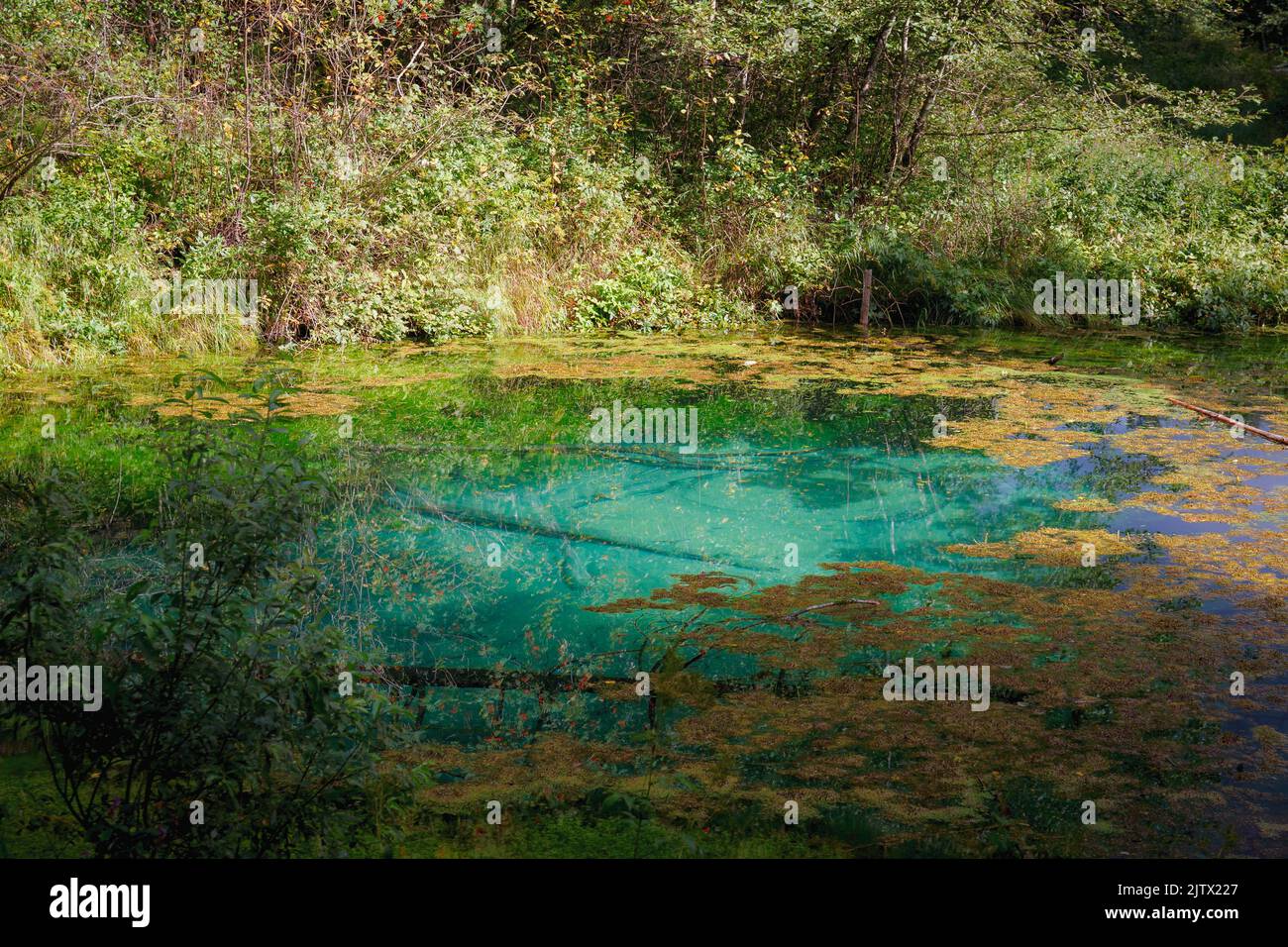 Saula cold pure fresh water blue spring, Estonia, Europe. Beautiful ...
