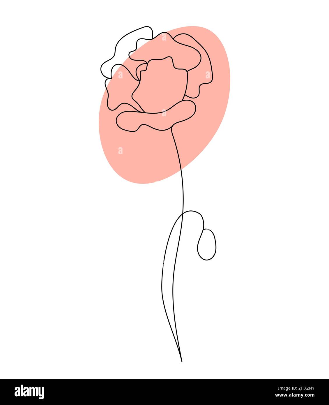 Outline poppy flower. Linear hand drawn minimalist drawing, continuous ...
