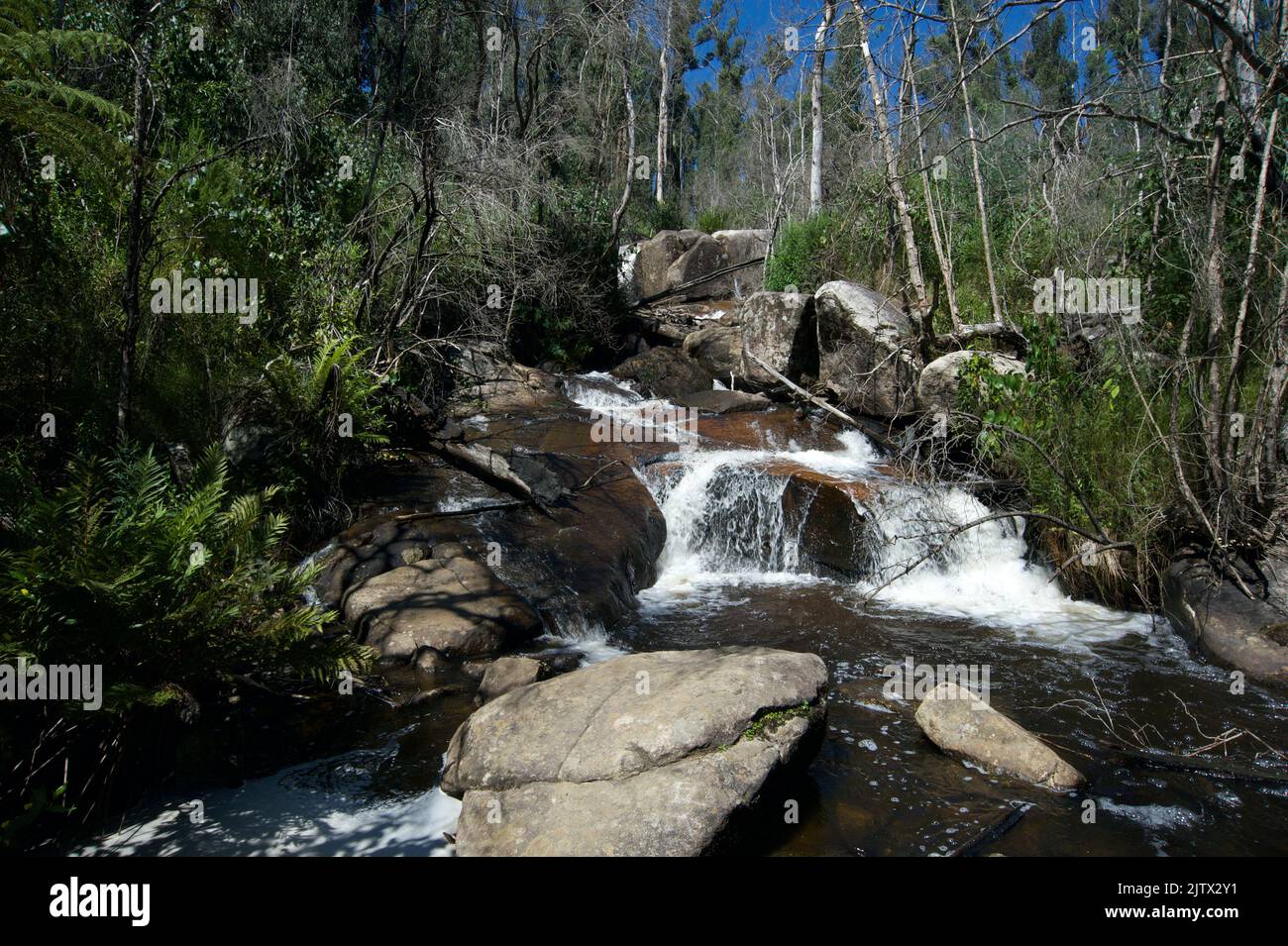 Murrindindi Cascades are a scenic gem on the Murrindindi River, in the ...