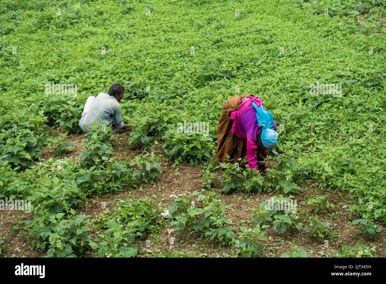 Simple isolated rural development hi-res stock photography and images ...