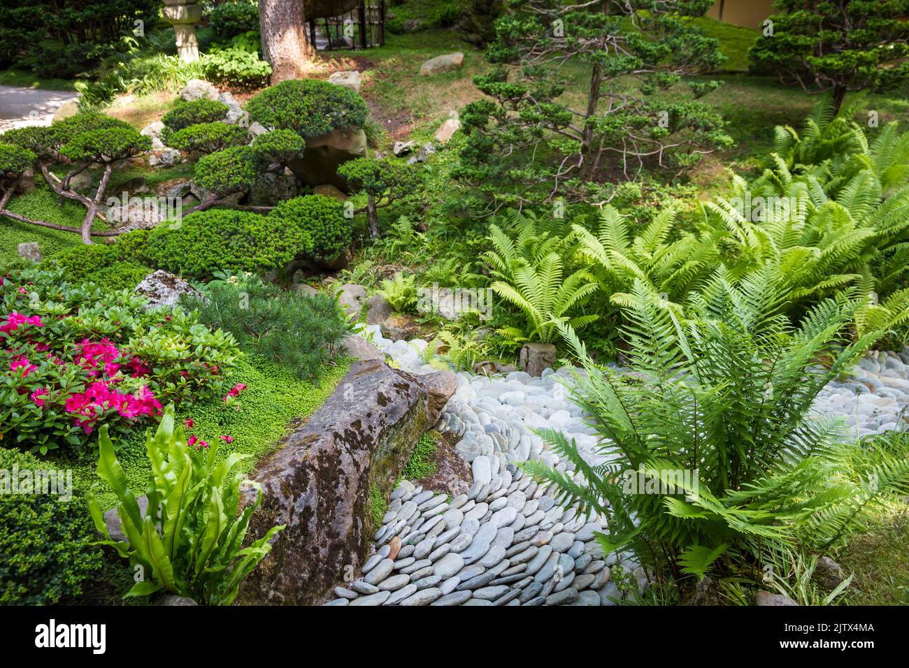 Beautiful traditional japanese garden in summer. Zen background Stock ...