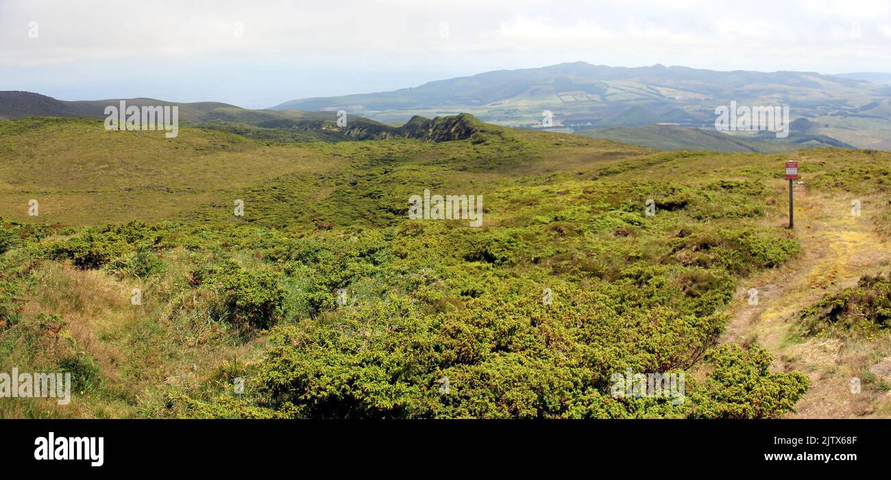 Landscape with wild shrub, meadows and green grass bed, on a plateau at ...