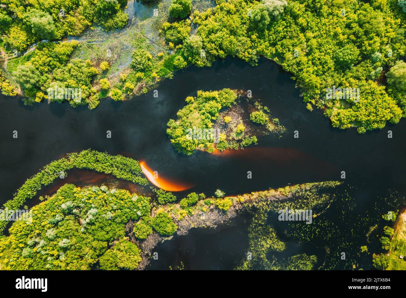 Aerial view. Green forest and river marsh landscape in summer. Top view ...