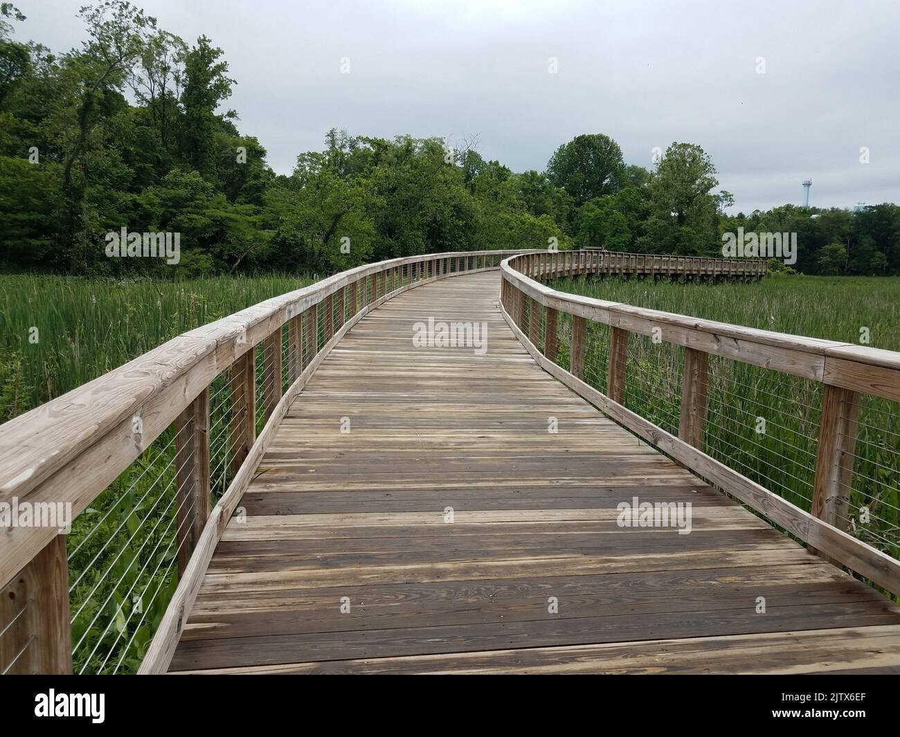 Wooden boardwalk path hi-res stock photography and images - Alamy