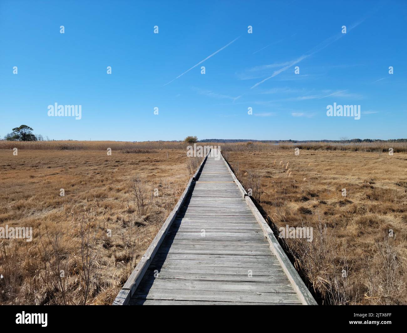 Long boardwalk hi-res stock photography and images - Alamy