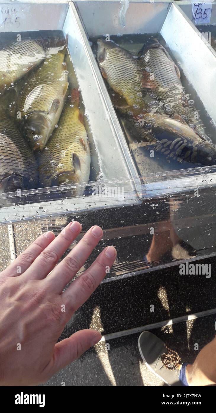 Large fresh water river hi-res stock photography and images - Alamy