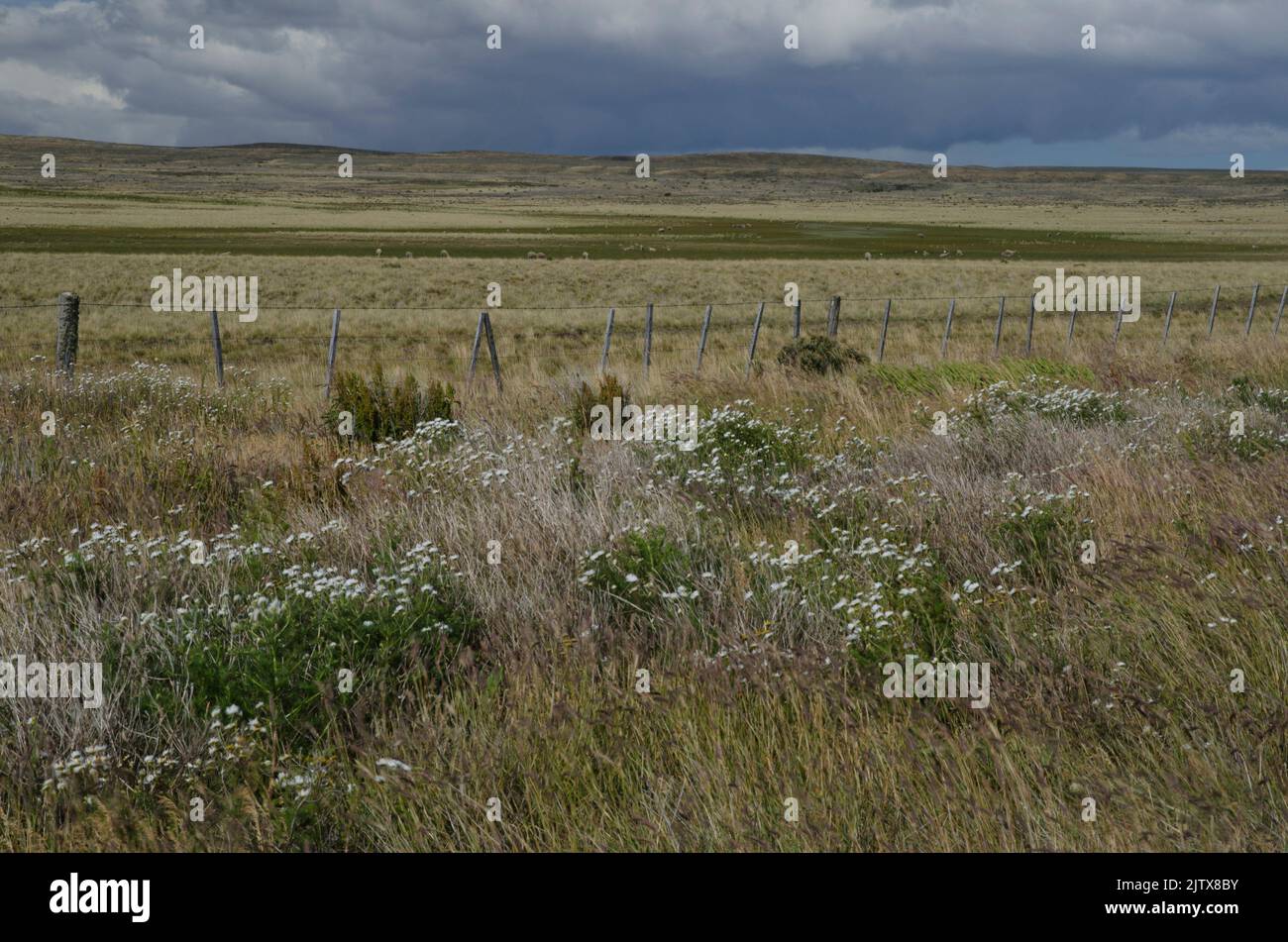 Patagonia natural hi-res stock photography and images - Alamy