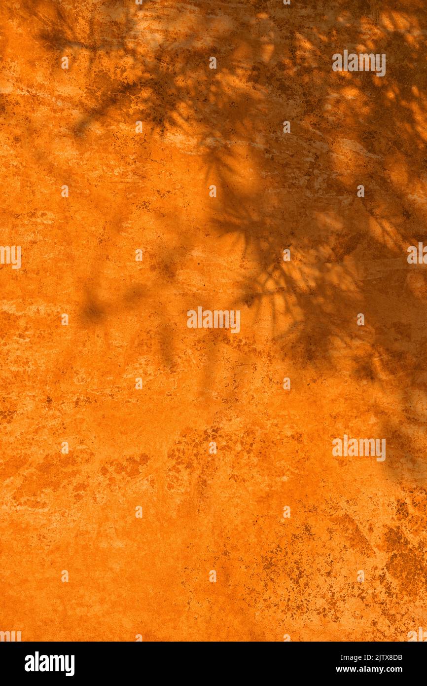 Fir tree shadows on orange concrete wall texture background Stock Photo ...