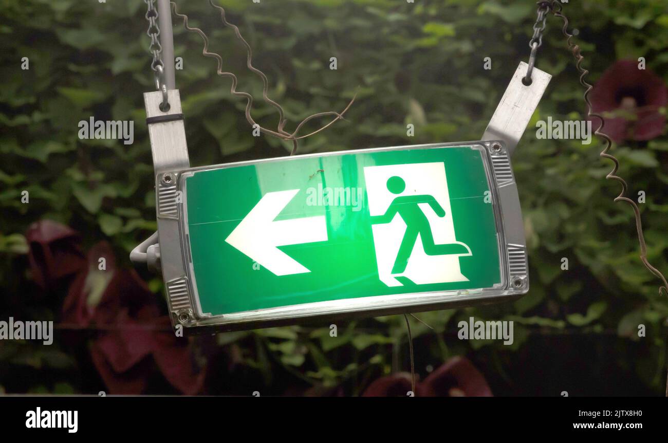 Emergency exit sign in a large greenhouse Stock Photo - Alamy