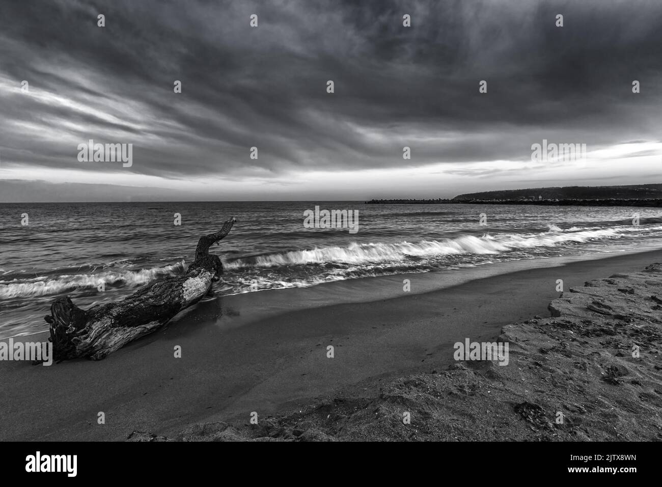 Black and white landscape with beach hi-res stock photography and ...
