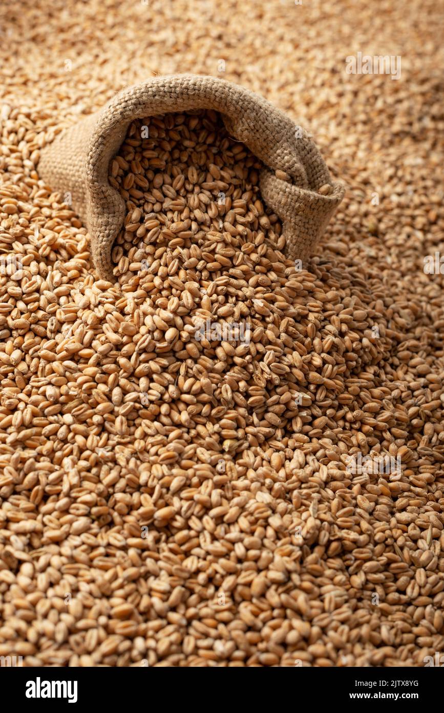 Raw wheat hi-res stock photography and images - Alamy