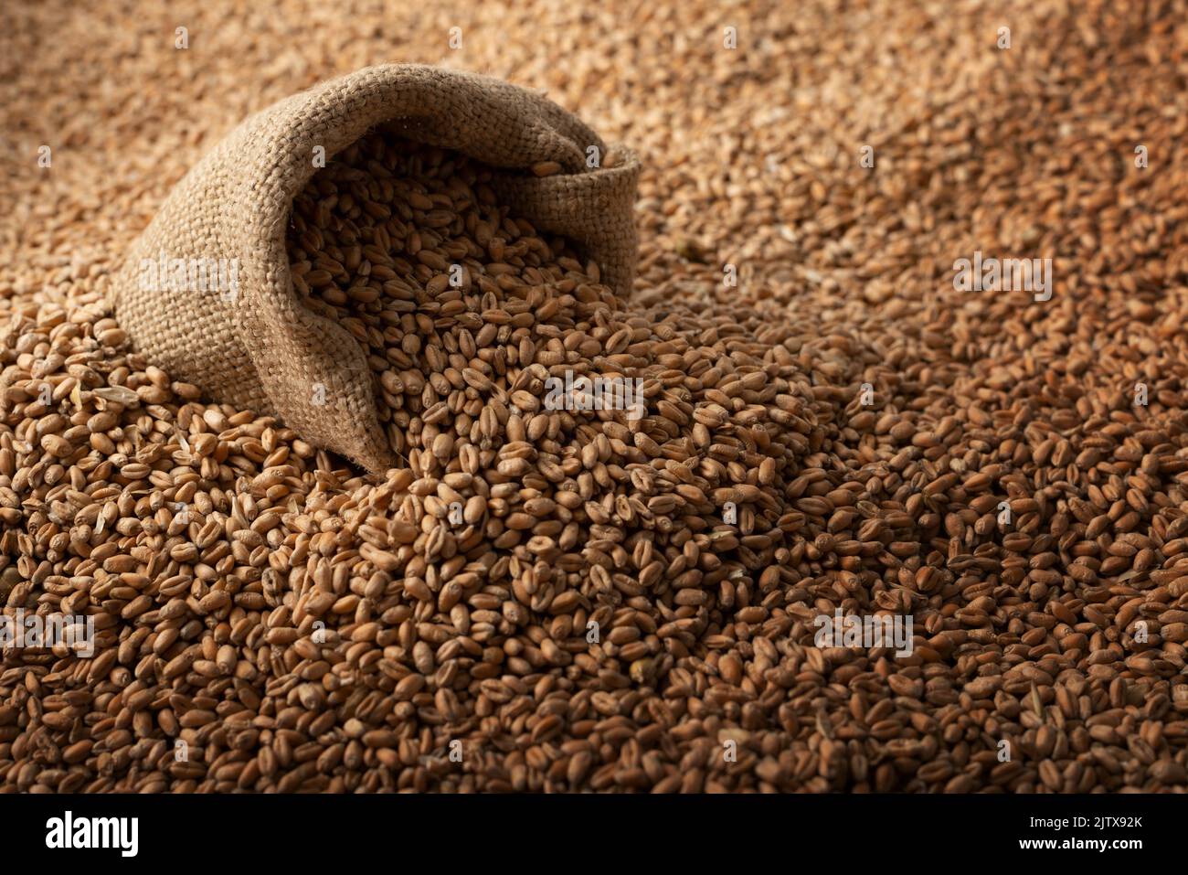 Raw wheat hi-res stock photography and images - Alamy