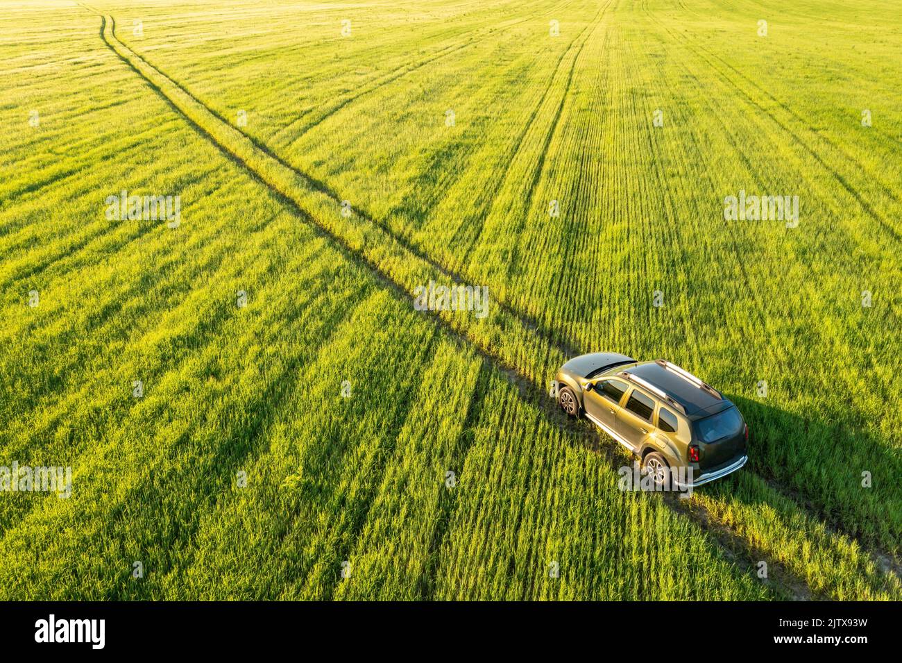 Maize field with road hi-res stock photography and images - Alamy